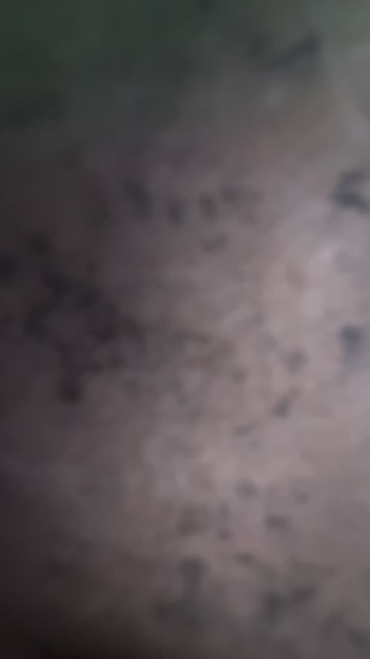 Dirt Bike Front Number Plate Graphics Decal for MOTOCUTZ – REV797